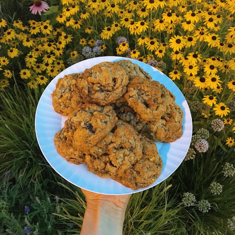 Date and Walnut Cookies | Roxana's Kitchen