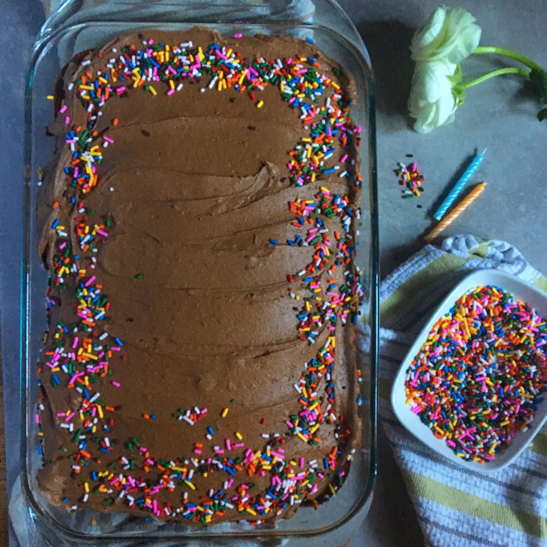 Chocolate Peanut Butter Sheet Cake | Roxana's Kitchen